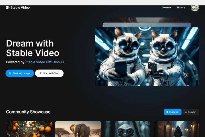 Stable Video-Stability AI推出的AI视频生成平台 - AIHub工具导航